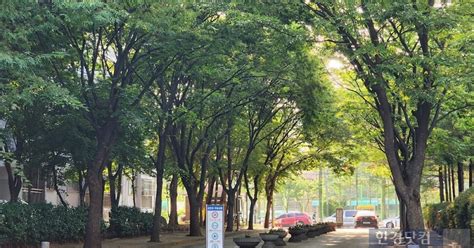 신축 아파트도 슬세권 못 따라오죠…때아닌 경쟁 벌어졌다 [오세성의 헌집만세]