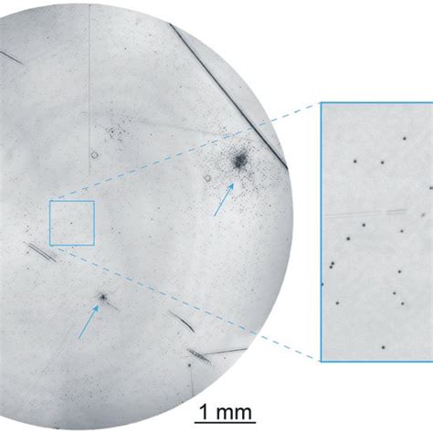 Etch Pit Density Epd Z Axis For Aln Crystals Growth With Different Download Scientific