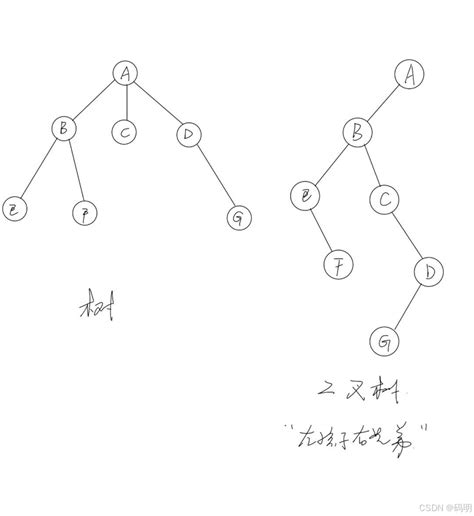 树，森林与二叉树的转换 把一棵树转换为二叉树 csdn博客