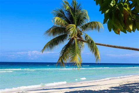 Access To Jamaican Beaches A Growing Controversy Greenme