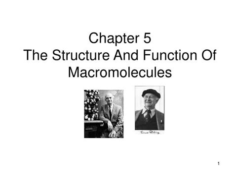 Ppt Chapter 5 The Structure And Function Of Macromolecules Powerpoint