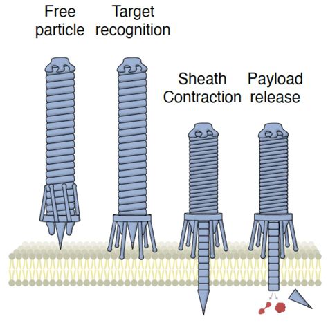 Thread By Zhangf On Thread Reader App Thread Reader App