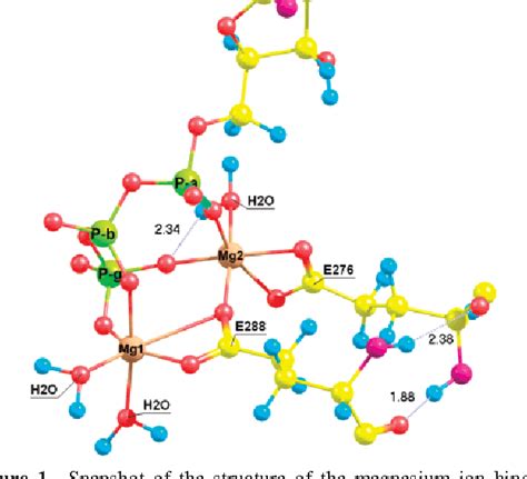 Figure 1 From Molecular Dynamics Simulations Of Biotin Carboxylase