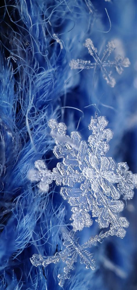 Обои на айфон 2022 Обои на айфон руны Обои Зимние картинки Фоновые рисунки