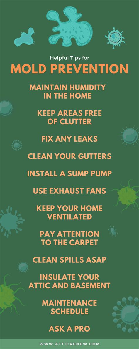 Helpful Tips For Mold Prevention