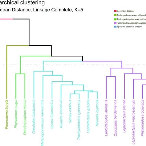 dendrogram showing the bottom up hierarchical cluster analysis in the