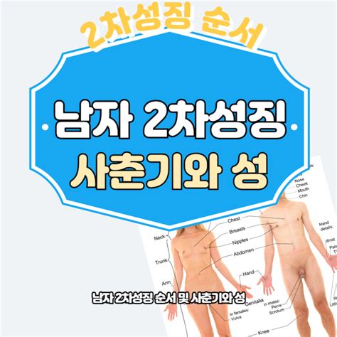 남자 2차성징 순서 및 사춘기와 성 네이버 블로그