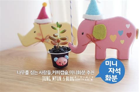커피캡슐미니다육이 W나무를 심는 사람들 네이버 블로그