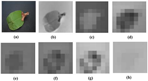 Agriculture Free Full Text A Hybrid Framework For Detection And