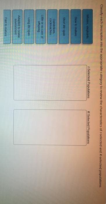 Solved Classify Each Description Into The Appropriate Chegg