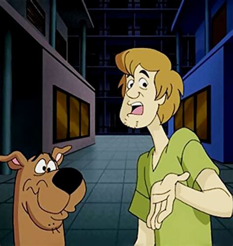 Shaggy Scooby Doo Imaginary Future Version Character Profile Writeups Org