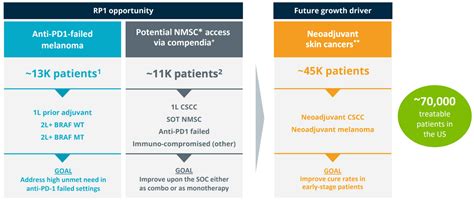 Replimune A Misunderstood Contender In Oncolytics Nasdaqrepl