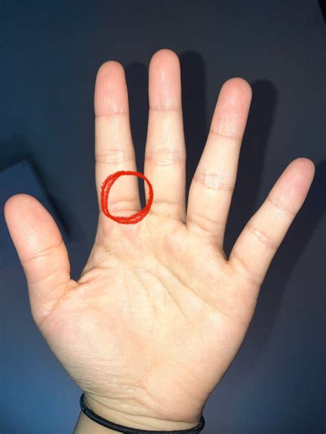 검지손가락 통증 지식in