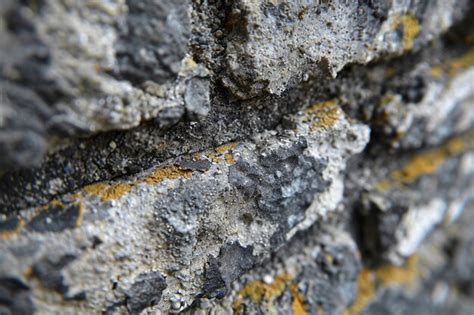 Premium Photo Worn Concrete Wall Texture With Rough Surface For Backdrop
