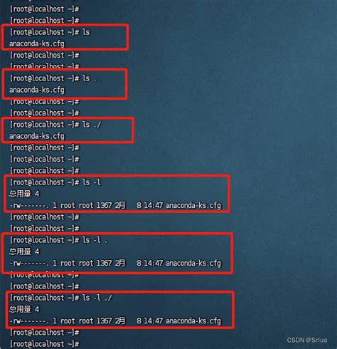 linux命令行全景指南：从入门到实践，掌握命令行的力量 命令行学习 csdn博客