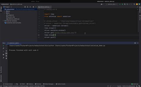 Pythonselenium实现浏览器基本操作详解driver关闭浏览器 Csdn博客
