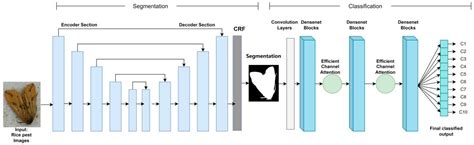 Based On Fcn And Densenet Framework For The Research Of Rice Pest Identification Methods
