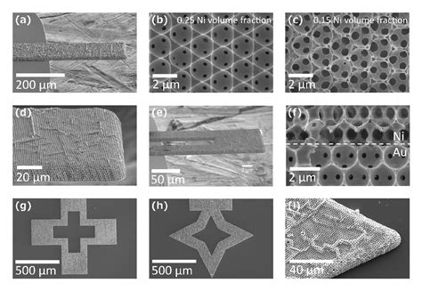 Hierarchical Mems Pikul Research Group