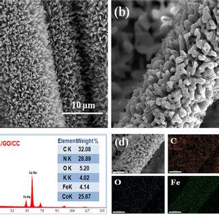 A Sem Image Of Co Mof Go Cc B Sem Image Of Fe Co Mof Go Cc C D Download Scientific