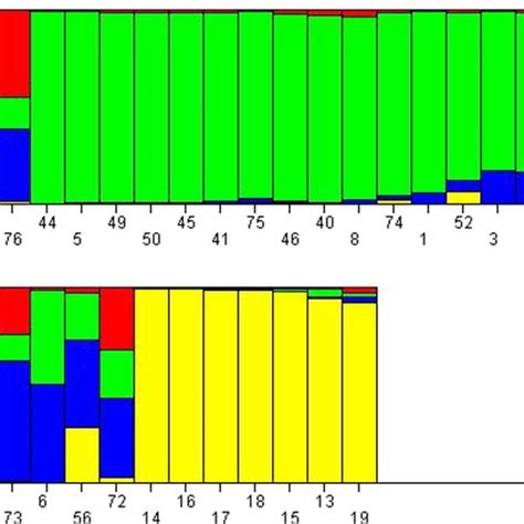 Model Based Population Structure Plot For Each Variety With K 4