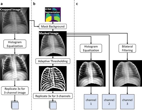 The Three Types Of Image Processing Used In The Varied Input Processing Download Scientific