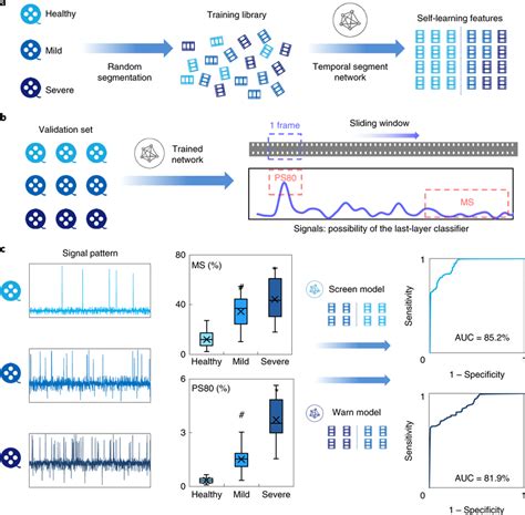 Self Learning Phenotypic Features By Deep Learning A A Total Of 3796 Download Scientific