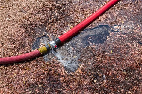 파이프 누출에서 폐수 화재 파이프 라인 관절 누출 파열 된 호스 배관 깨진 관절 파이프 물 흐름 구멍에 0명에 대한 스톡 사진 및 기타 이미지 Istock