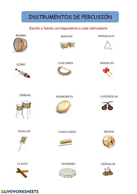 Ejercicio De Familias De Instrumentos De Percusión Instrumentos De