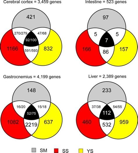 Effect Of Selenium Supplementation On The Number Of Differentially Download Scientific Diagram