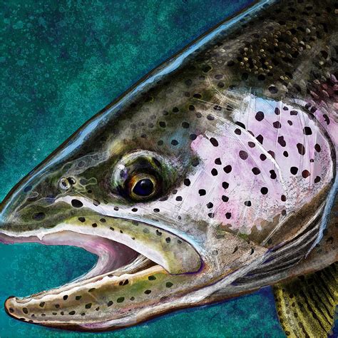 The Steelhead Trout Digital Art By Michael Higgins Pixels