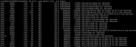 利用lsof命令查找已经删除的文件来释放磁盘空间（linux系统通过df和du查看磁盘使用的大小不一致问题及解决方法） 人艰不拆 zmc