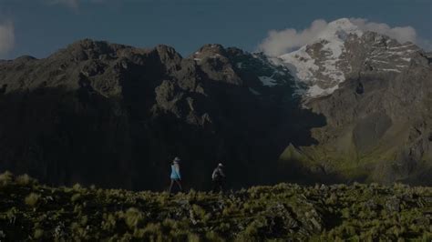 Salesforce On Linkedin Stream For Free On Salesforce