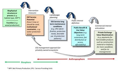 Figure 2 The Enhanced Ecosystem Service Cascade Framework Or Stairways Of Landscape Management