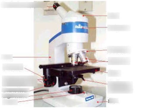 Parts Of The Microscope Lab 2 Part 2 Diagram Quizlet