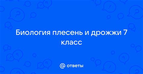 Ответы Mail Биология плесень и дрожжи 7 класс