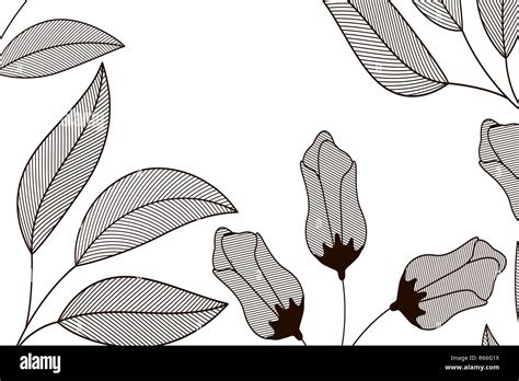 Flowers With Branches And Leaves Icon Stock Vector Image Art Alamy