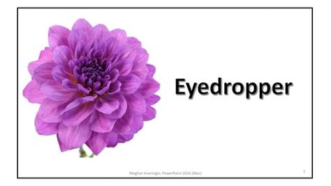 Eyedropper Powerpoint Tool Pptx