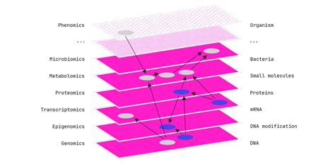 Multi Omics Analysis Made Easy A Breast Cancer Example