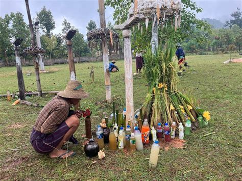 ဒီးမော့ဆို အရှေ့ဘက်တစ်နေရာမှာ စပါးနှံပူဇော်ပွဲ ကျင်းပပြုလုပ်ခဲ့ Kantarawaddy Times