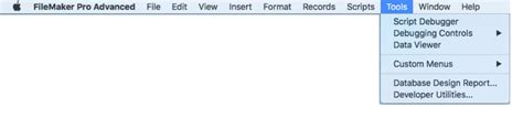 FileMaker Pro Advanced Tools Made For Everyone FileMaker Pro Advanced Tools Made For Everyone