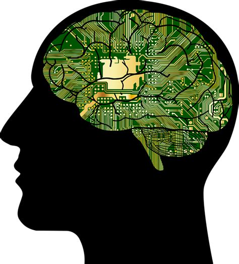 1000 Free Human Head And Human Images Pixabay
