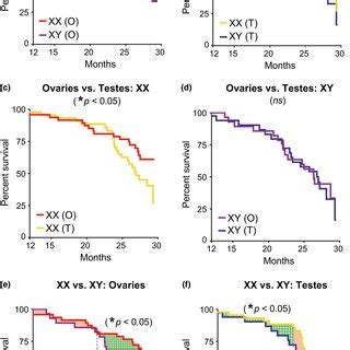 XX Sex Chromosomes Contribute To Female Longevity A Diagram Of FCG Download Scientific