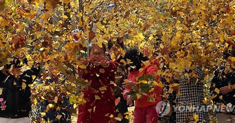 가을향기 낙엽의 거리