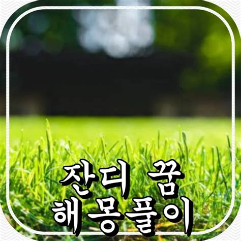 잔디 꿈해몽 초원 달리는잔디를 심는 꿈깎는먹는자라고 시들어지는 잔디떡잔디 깎는 기계가 나오는 꿈