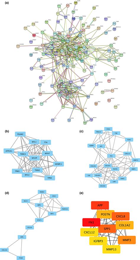 protein protein interactions ppi network module analysis and hub download scientific