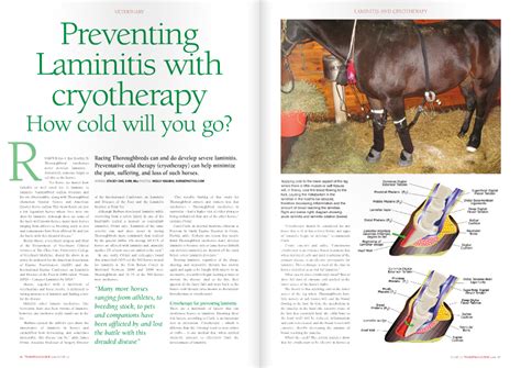 Preventing Laminitis With Cryotherapy Trainer Magazine North American Article Index