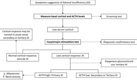 Adrenal Gland Insufficiency Test At Ruth Sapp Blog