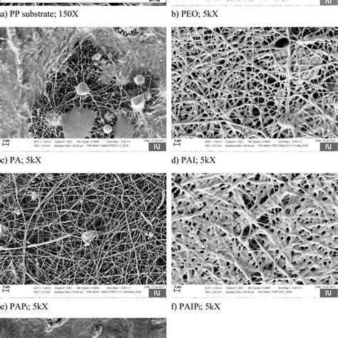 Sem Micrographs Of Pp Non Woven A 150× Magnification Scale Bar 200 Download Scientific