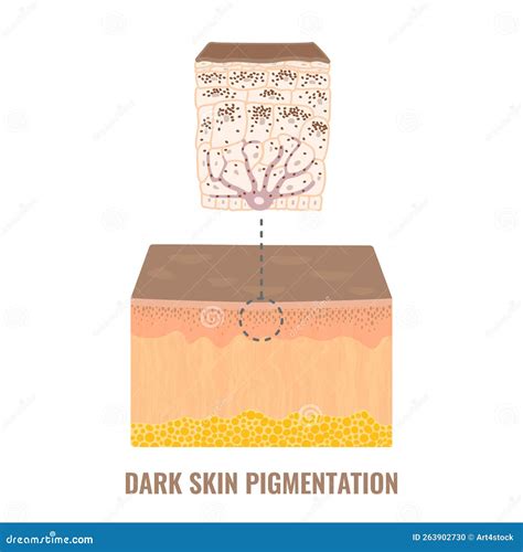 Phototype Cartoons Illustrations And Vector Stock Images 55 Pictures To Download From