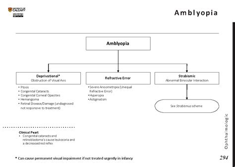 AMBLYOPIA Blackbook Blackbook